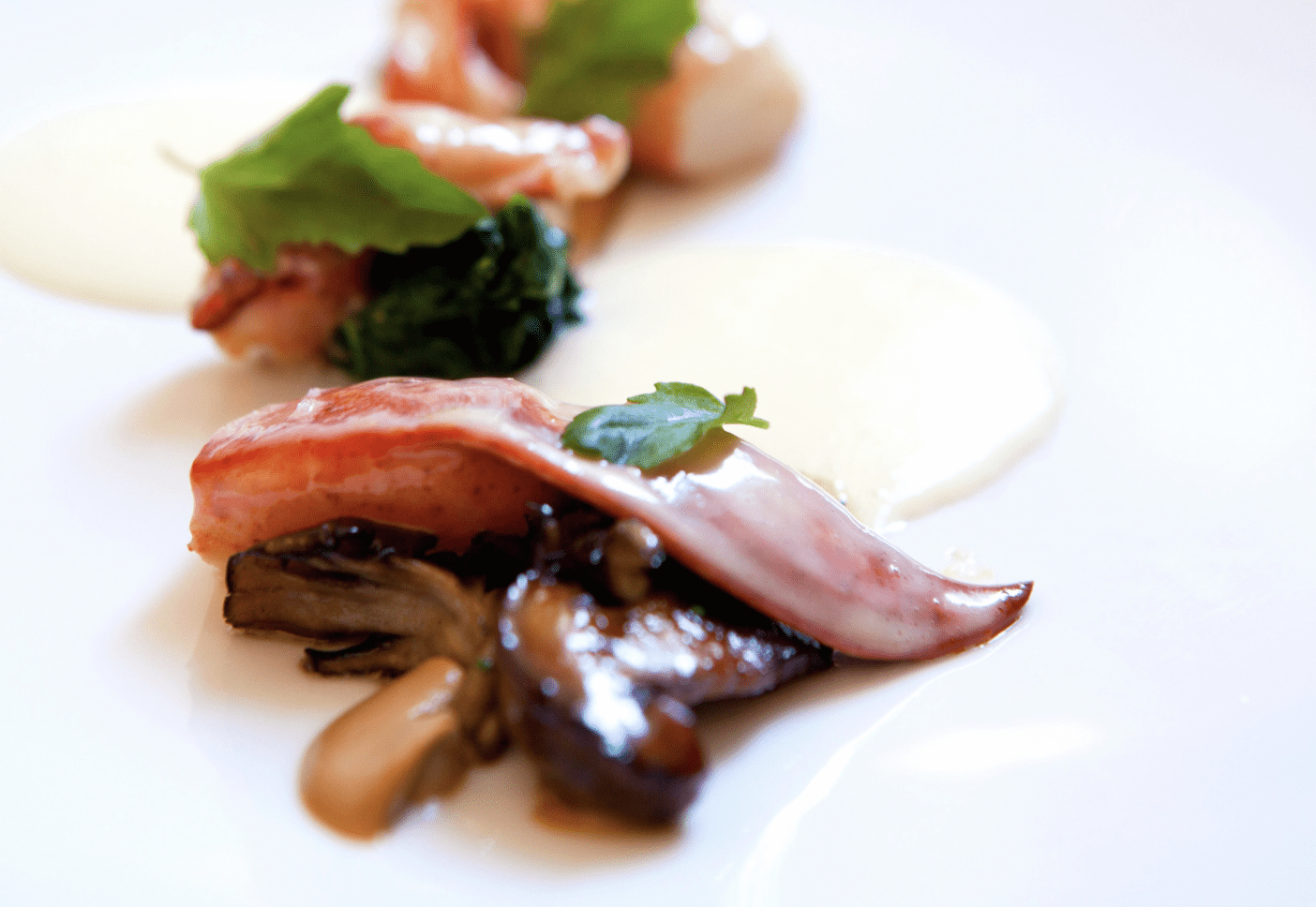Butter Pouched Lobster with Matsutake Mushrooms Emulsion - InFoodSys